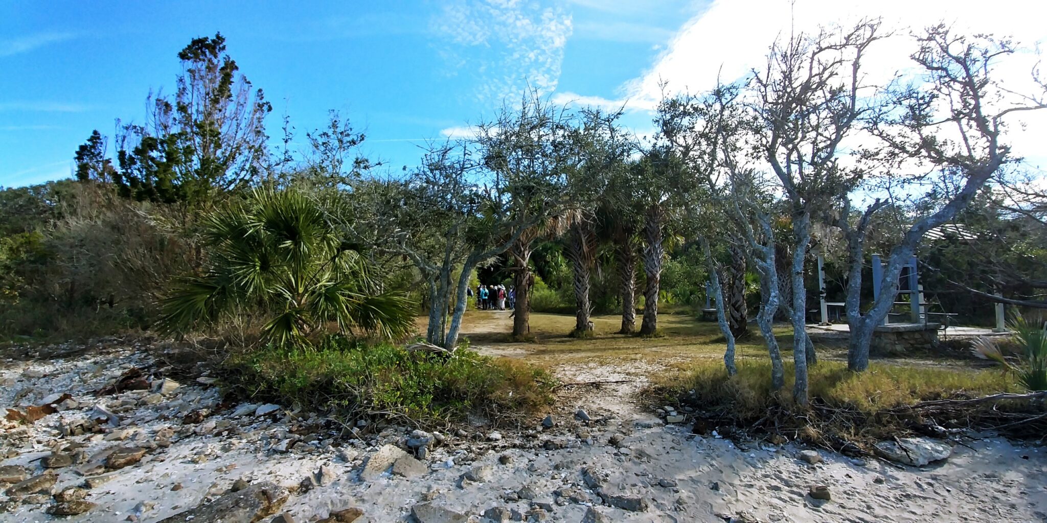 Marineland River to Sea Preserve Trail Walk - Friends of The GTM
