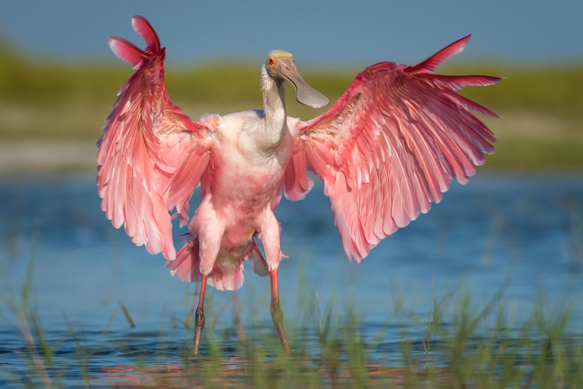 Explore Coastal Conservation at GTM Research Reserve